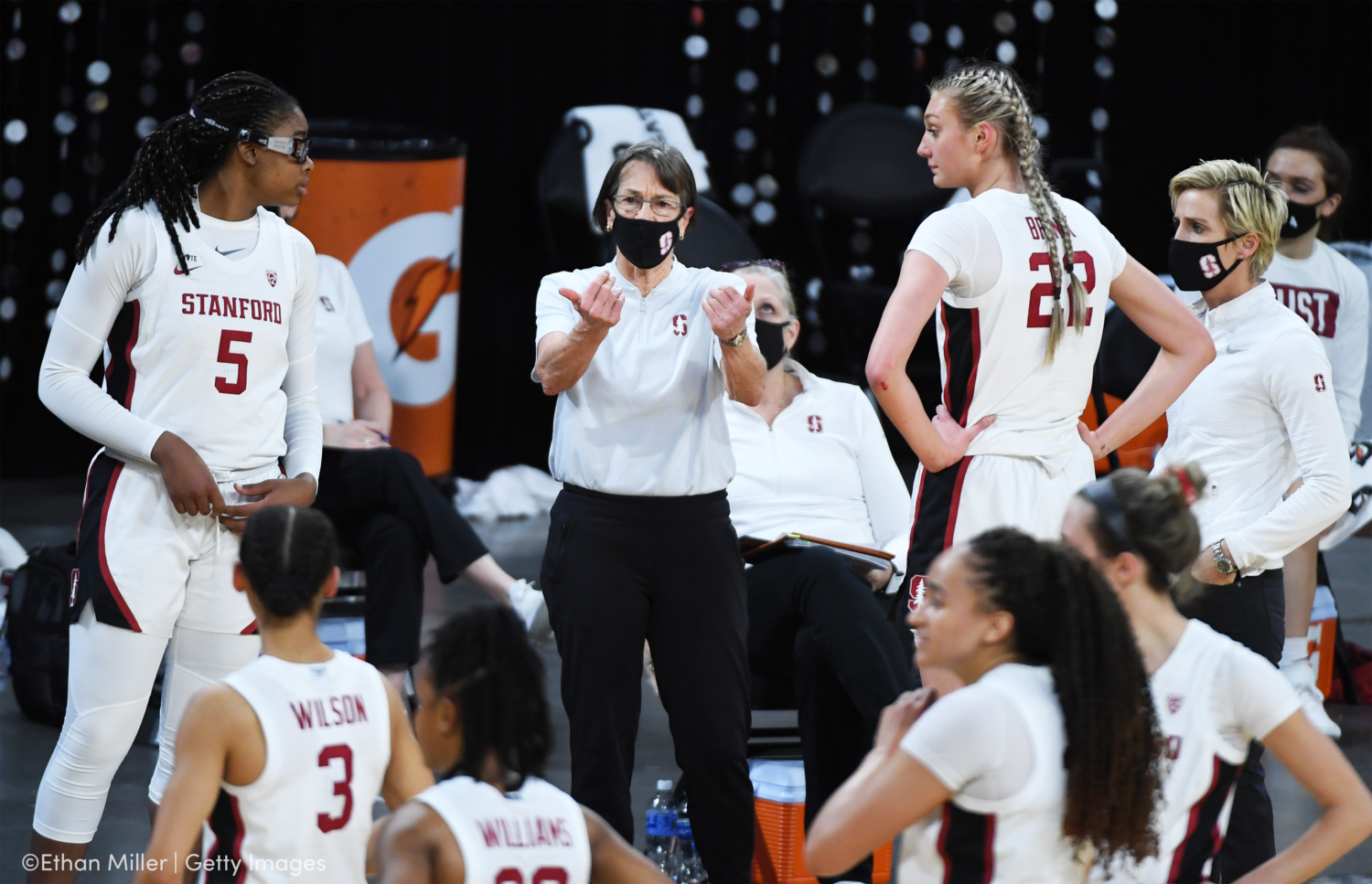 WSF Announces Third Cohort of Recipients for Tara VanDerveer Fund for ...