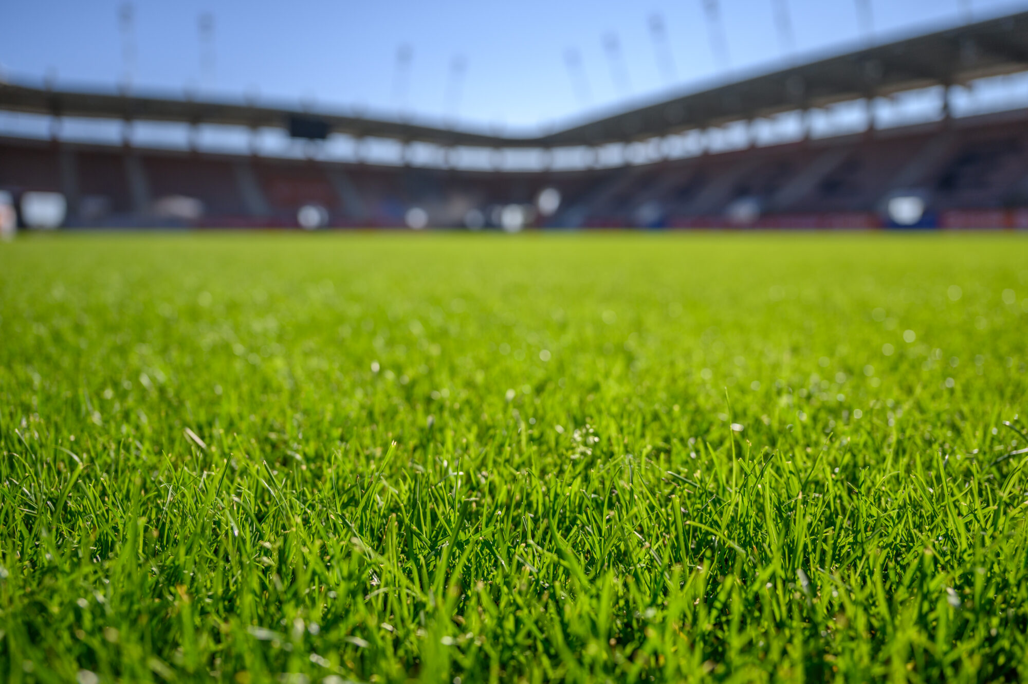 WSF responds to final approved settlement in House v. NCAA - Women's ...